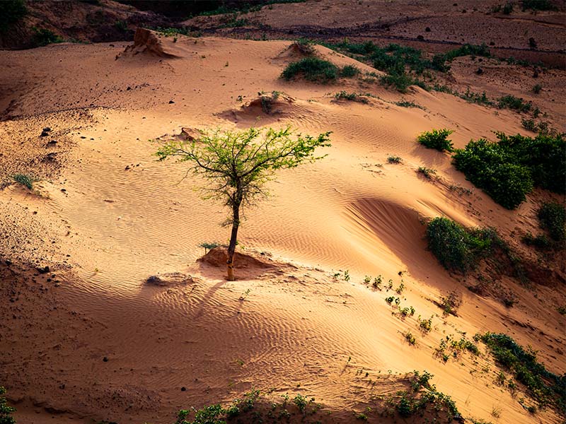 Resilience Over Happiness in the Workplace